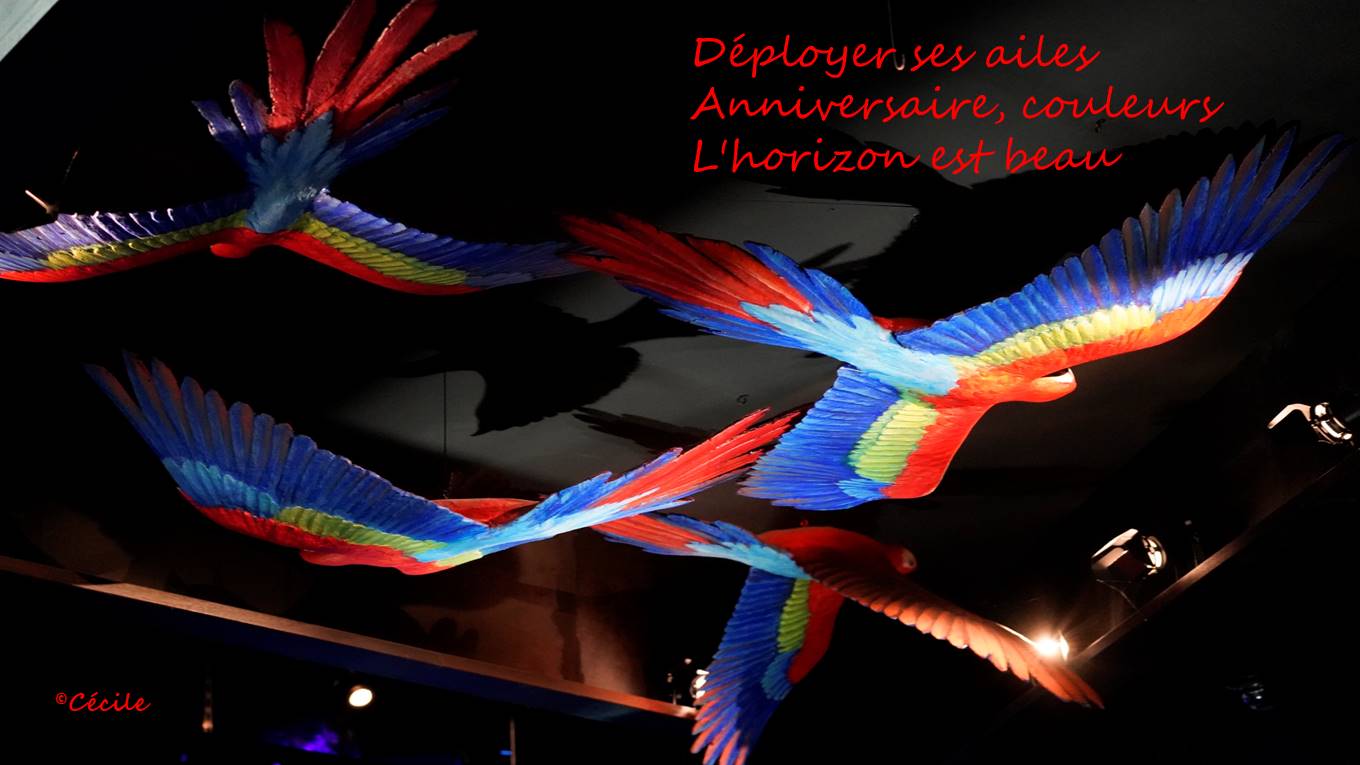 Anniversaire en couleurs – Jalon Bleu