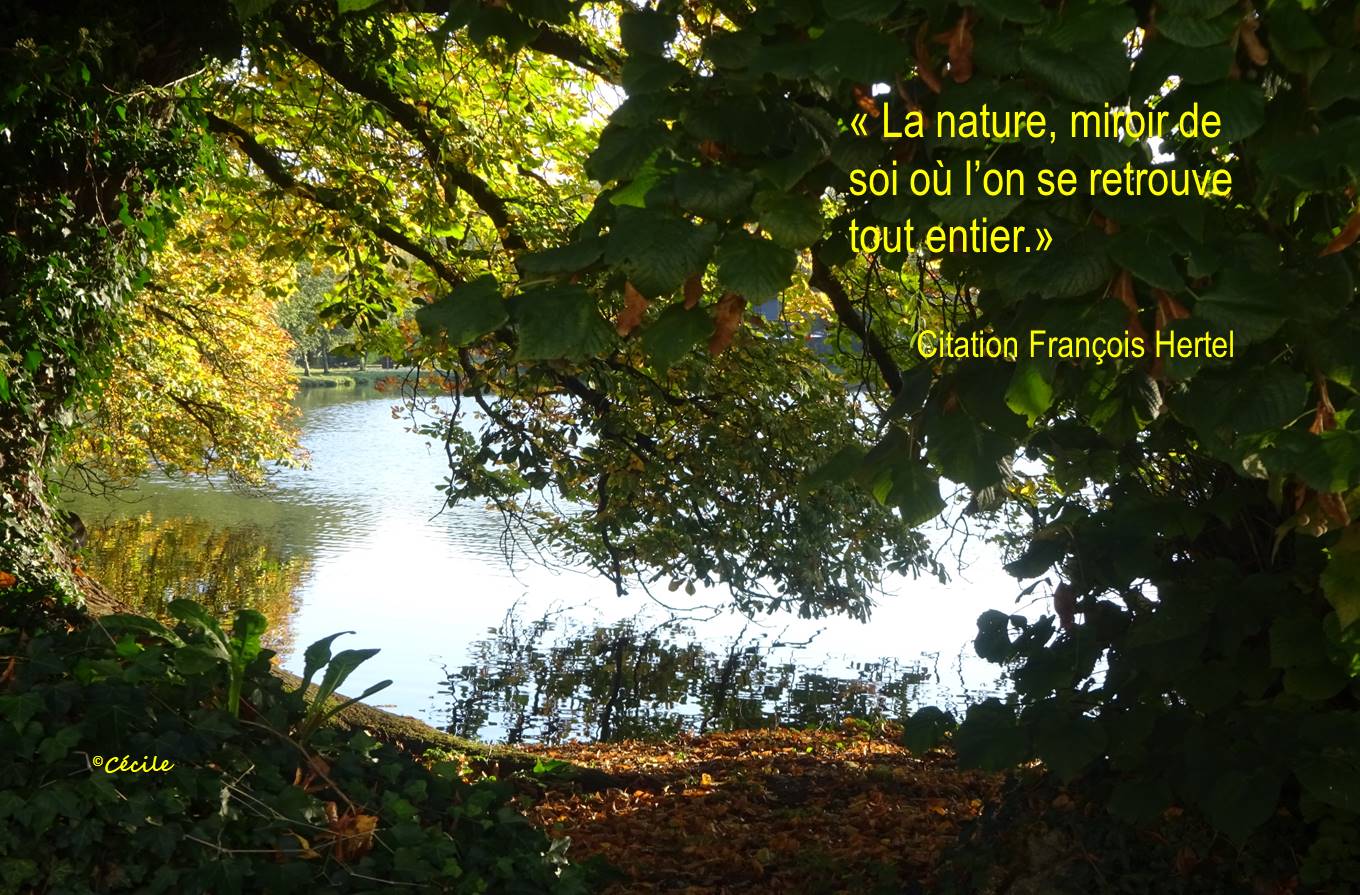 Nature-miroir – Jalon Bleu